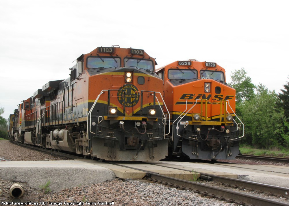 BNSF 1103/BNSF 6229